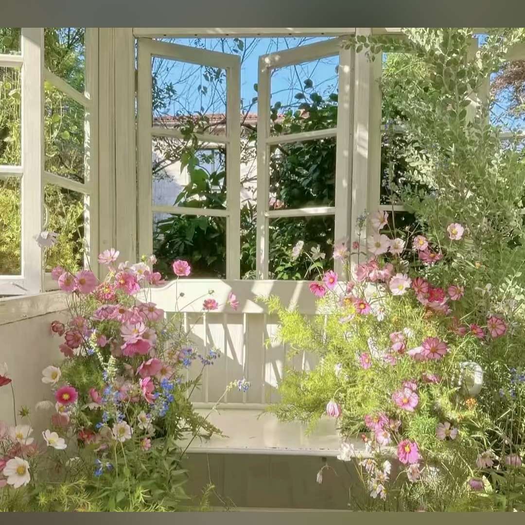 鲸云漫游_云电脑云游戏平台_手机电脑畅玩3A大作